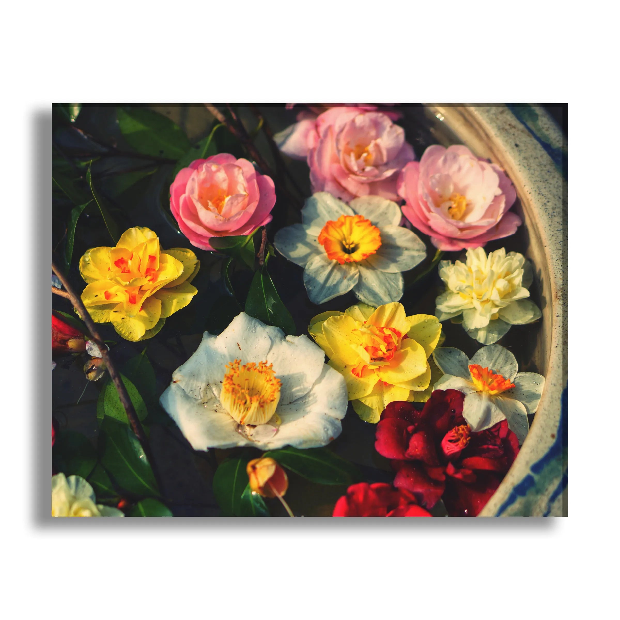 Multi Colored Flowers Paint by Numbers - Rainbow Garden Art – 1001Canvas
